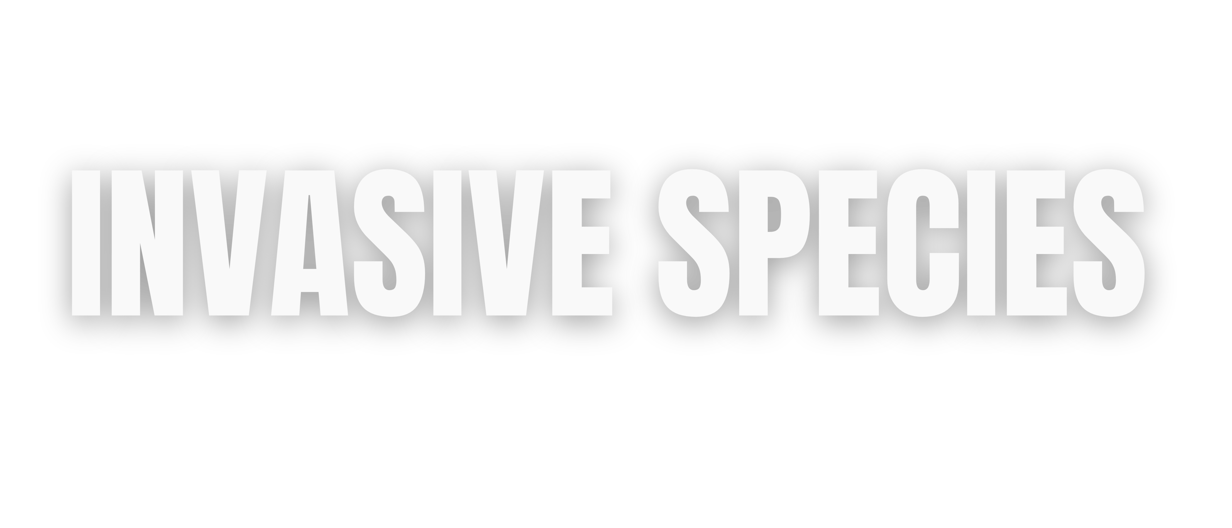 Your Guide To Local Species – BioCapture