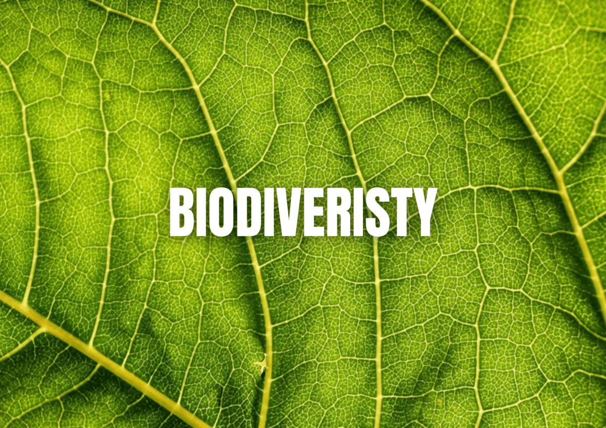 Biodiversity – BioCapture
