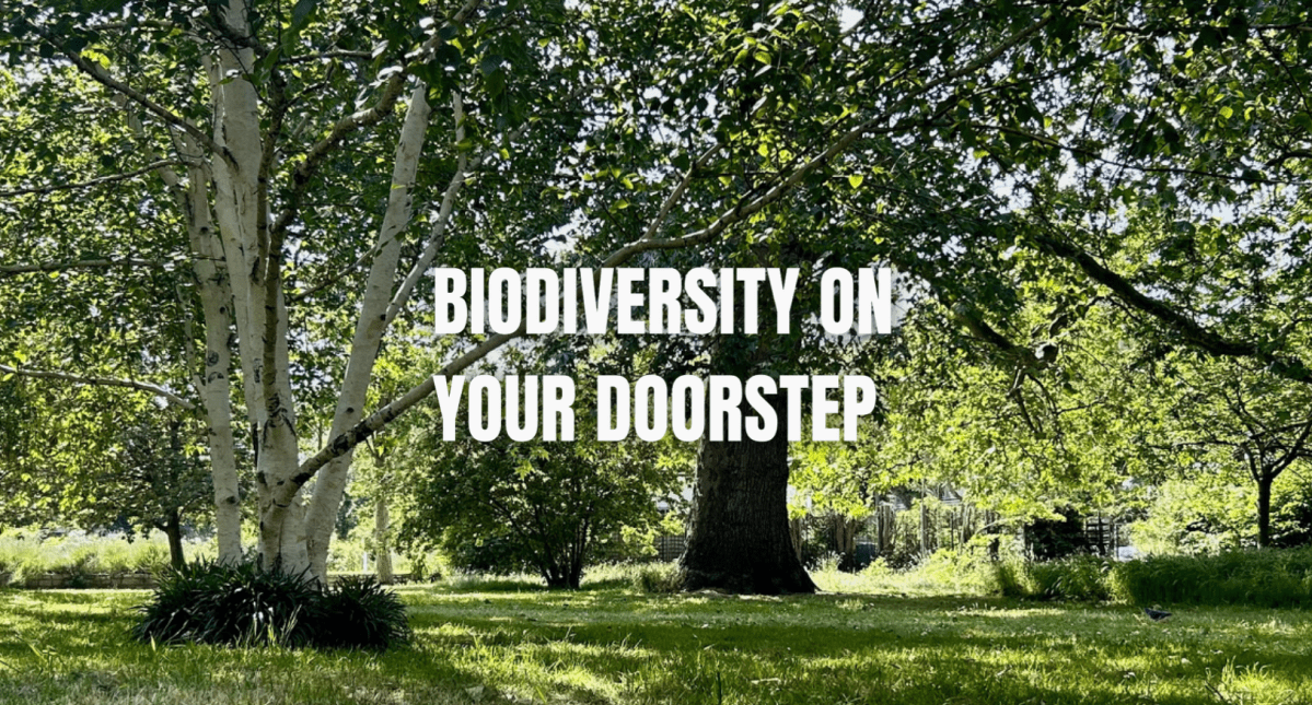 BioCapture – Queen Mary University of London