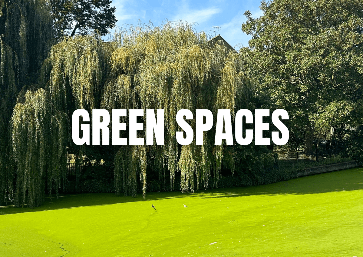 Biodiversity in Tower Hamlets – BioCapture